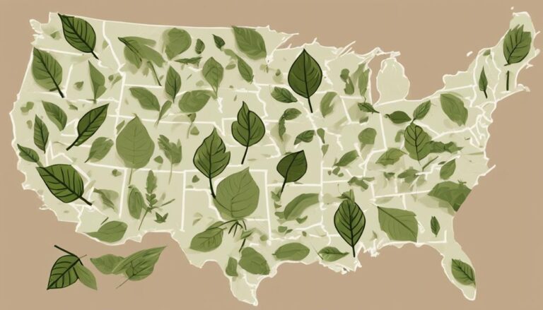 Kratom Legality State Guide: Navigating State by State - The Kratom Files